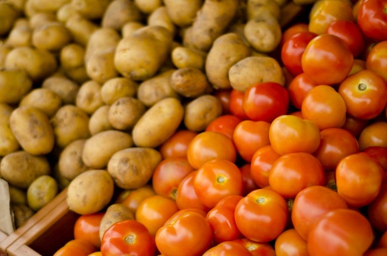 What Is A TomTato Plant – Tomatoes And Potatoes On The Same Plant ...