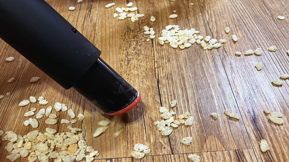 Shark MessMaster Wet/Dry Vacuum review | Top Ten Reviews