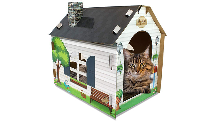 How To Keep A Cat Warm Outside Petsradar