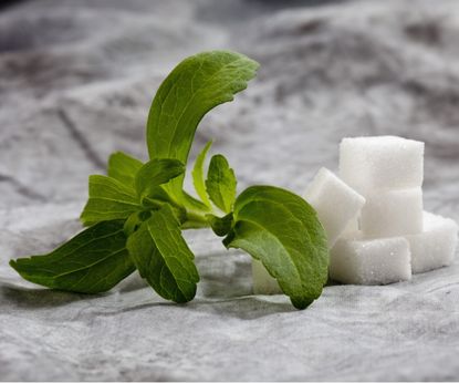 Best unusual herbs: 9 herbs to grow for interesting flavor | Homes and ...