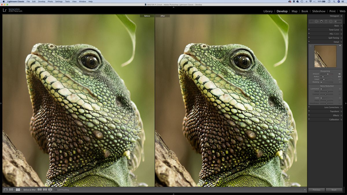 Sharpen your images to perfection with Lightroom and Photoshop CC ...