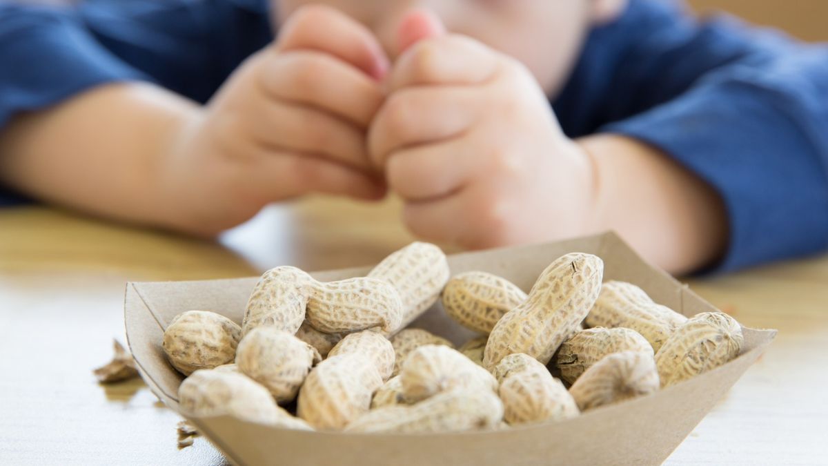 Peanut allergies: skin patch for toddlers shows promise in trials | The ...