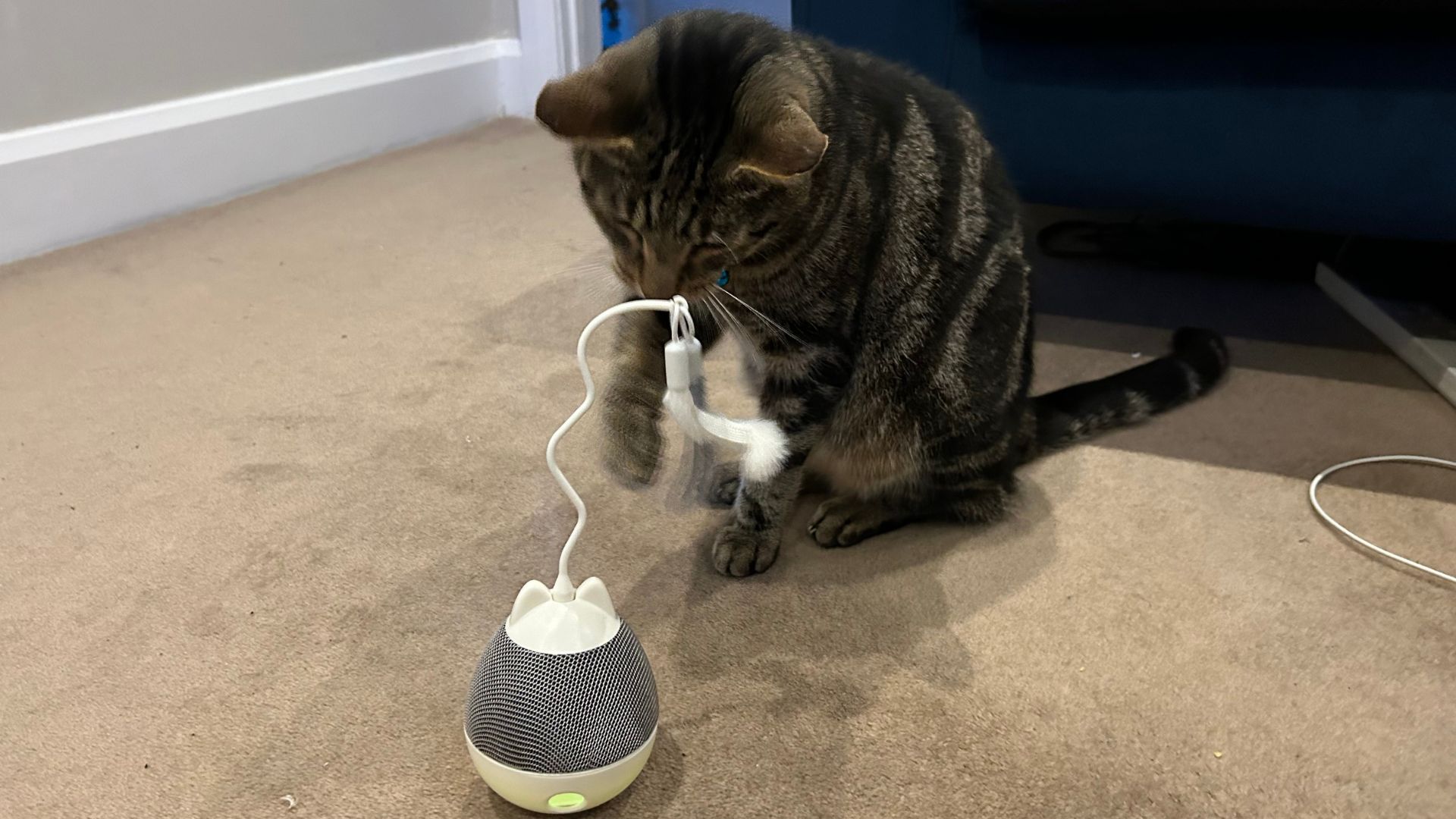 Best automated cat toys 2025 to keep your cat entertained | PetsRadar