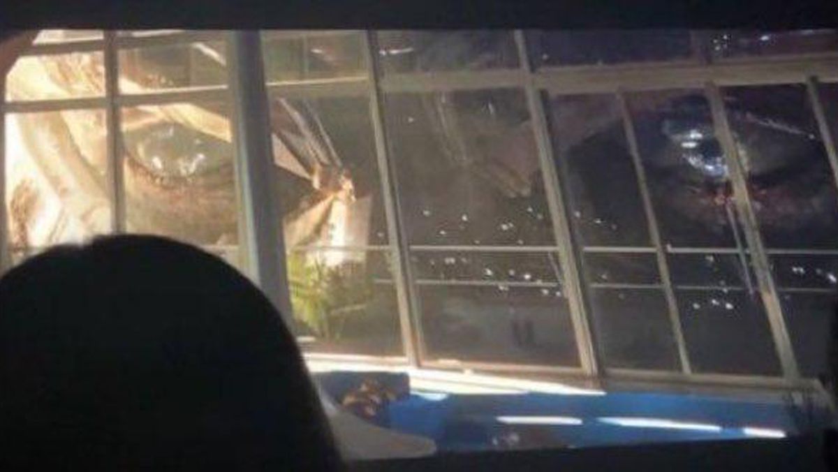 The Fantastic Four: First Steps: release date, trailer, confirmed cast ...