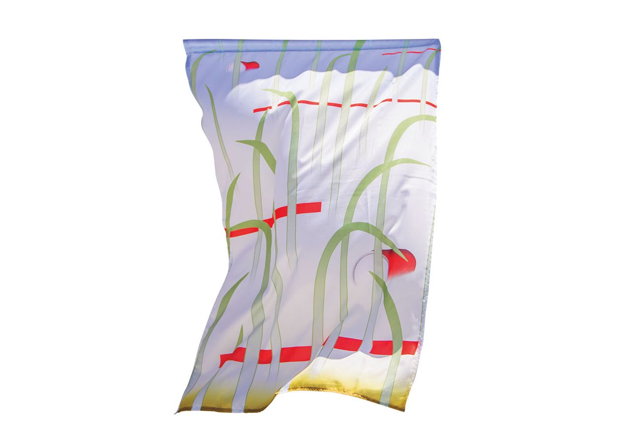 Visual Communication | Wallpaper*