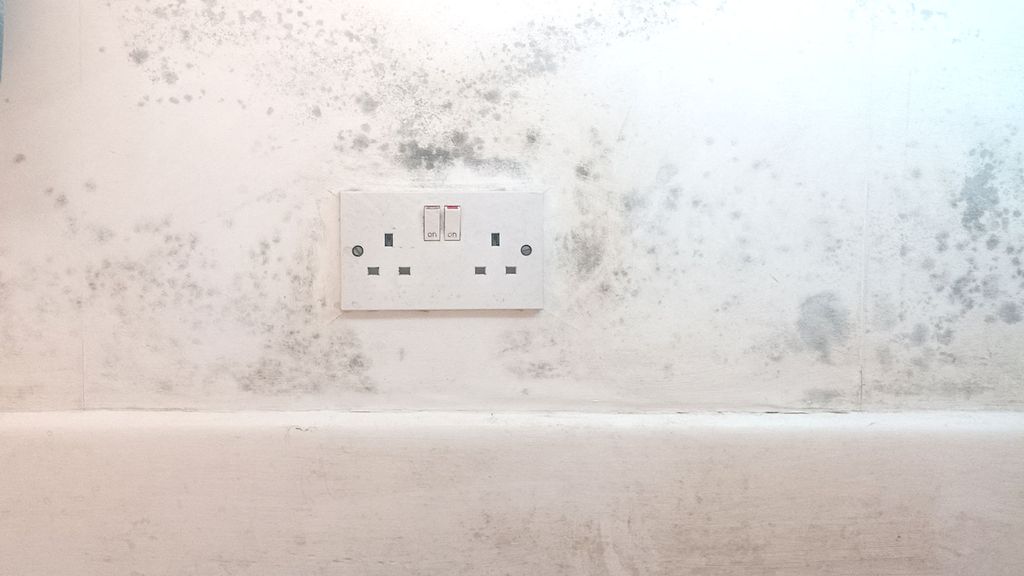 How to clean mould off fabric – the experts share their tips | Ideal Home