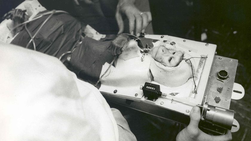 Able and Baker: The First Primates to Survive Spaceflight in Photos | Space