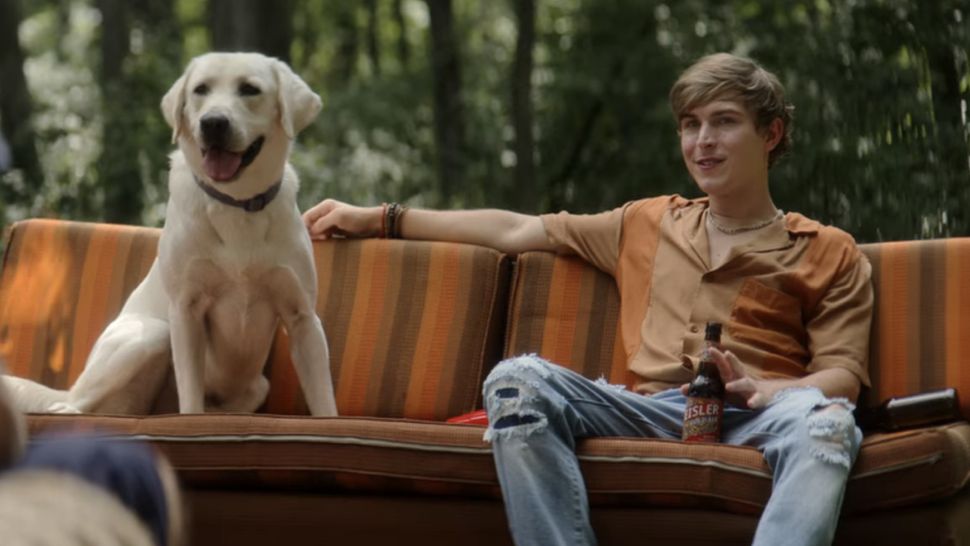 Dog Gone Cast Where You ve Seen The Stars Of Netflix s New Dog Movie dog-gone-cast-where-you-ve-seen-the-stars-of-netflix-s-new-dog-movie
