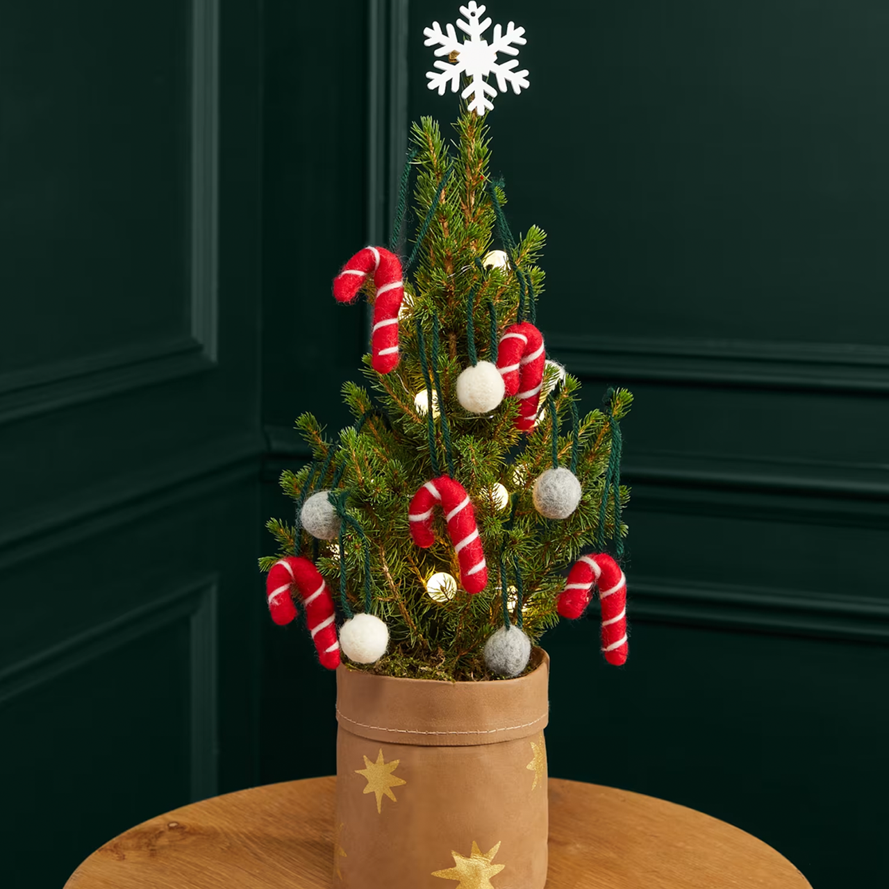 How to care for a mini Christmas tree in December and beyond | Ideal Home