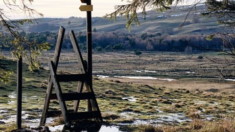 What is a bog and how on earth do you hike across one? | Advnture