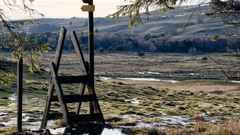 What is a bog and how on earth do you hike across one? | Advnture