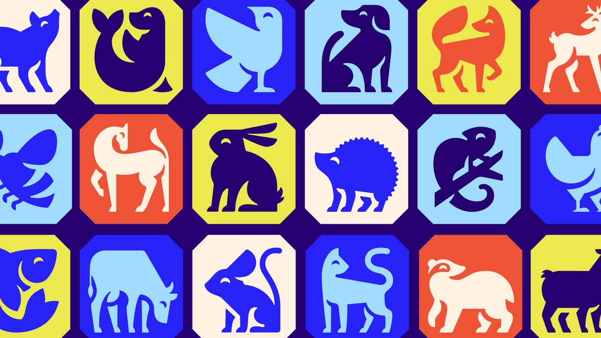 Behind the RSPCA's 50-year rebrand | Creative Bloq