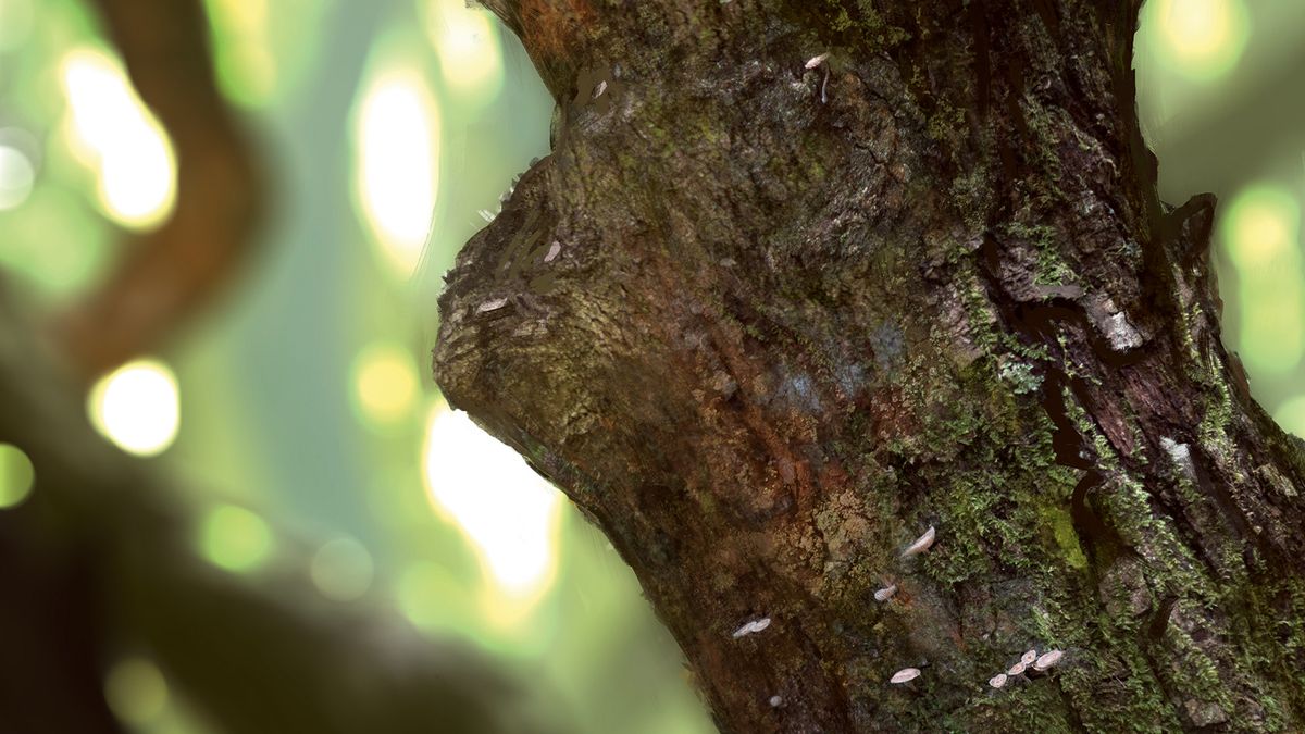 How to create masks in Photoshop | Creative Bloq