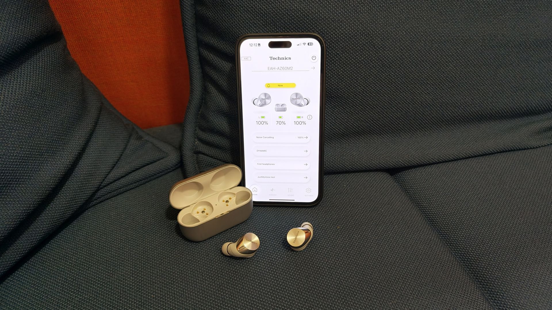 Don't be like me! Ignoring your wireless earbuds app means you're ...