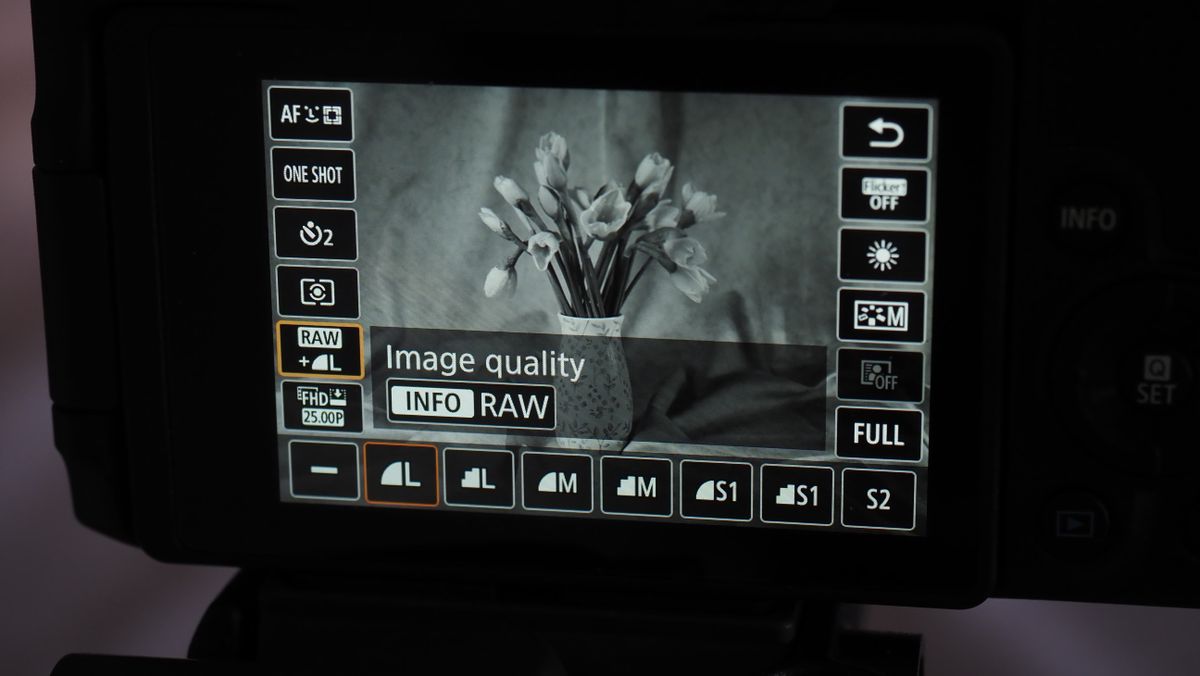 How to get started with black and white photography with a Canon camera ...