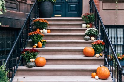 Styling Mums — 11 Creative Ways to Display This Fall Flower | Livingetc