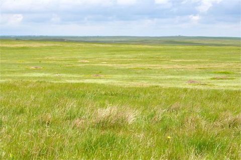 Photos: Prairie Dog Images | US Wildlife, American Prairies | Live Science