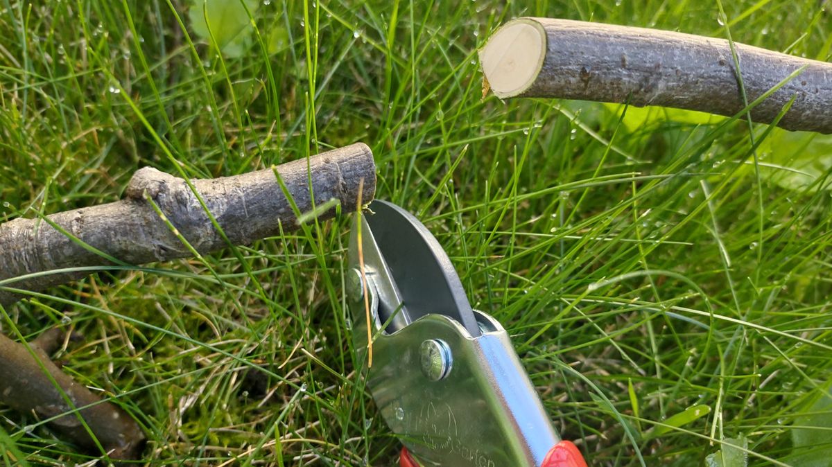 Wolf-Garten Anvil Pruner RSEN review | Top Ten Reviews