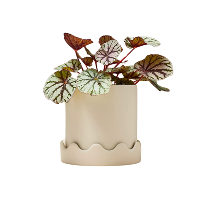 Step-Up Bathtubs Can Transform a Space to Feel Like a Spa | Livingetc