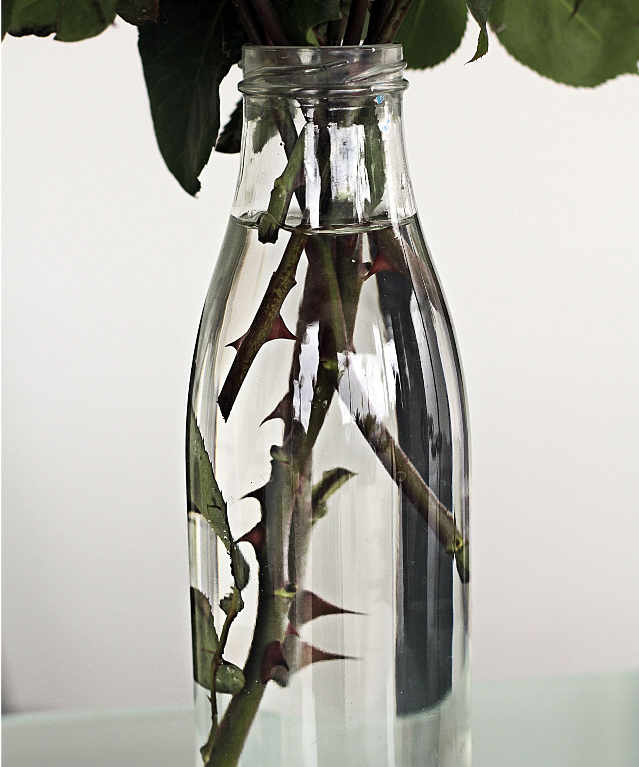 How to root rose cuttings in water: An expert guide | Homes and Gardens