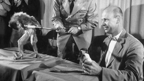 Able and Baker: The First Primates to Survive Spaceflight in Photos | Space