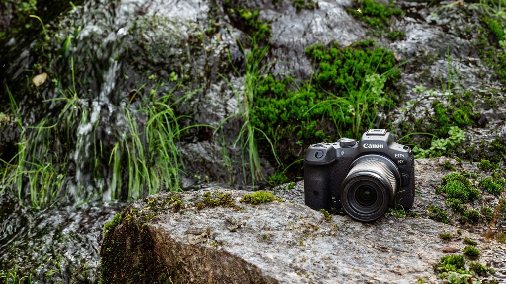 Canon EOS R10 vs EOS R7: how do you choose which one to get? | Digital ...