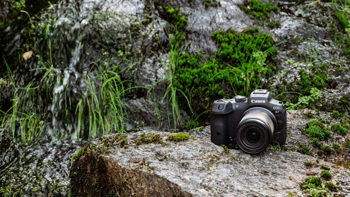Canon EOS R10 vs EOS R7: how do you choose which one to get? | Digital ...