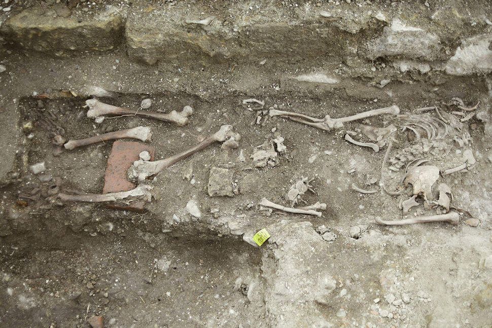 Medieval 'vampire' burial in Croatia contains decapitated and twisted ...