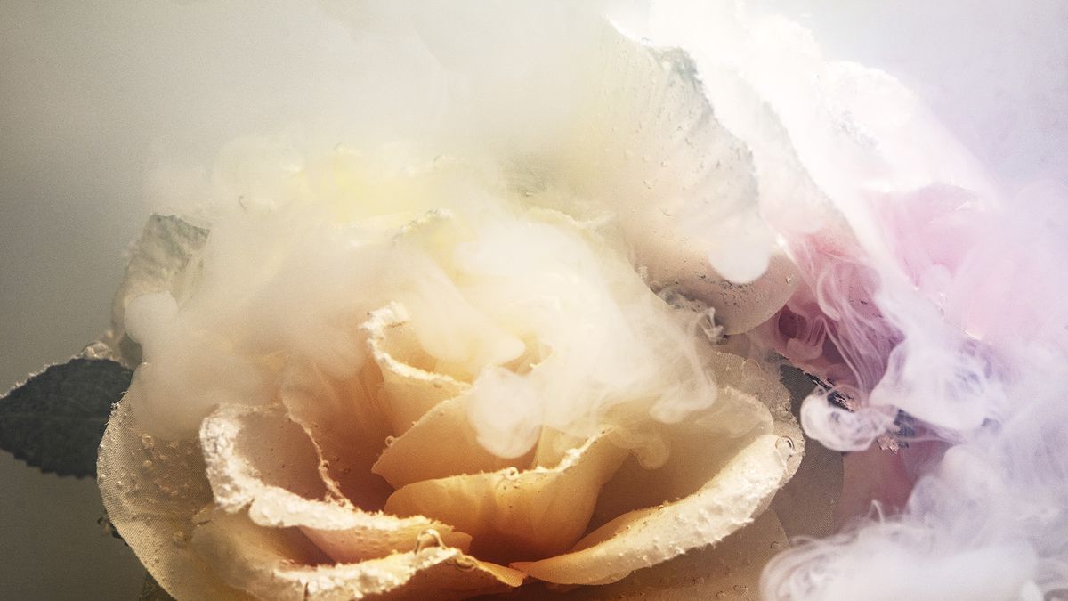 I photographed flowers in a fish tank and added milk to create a smoke ...