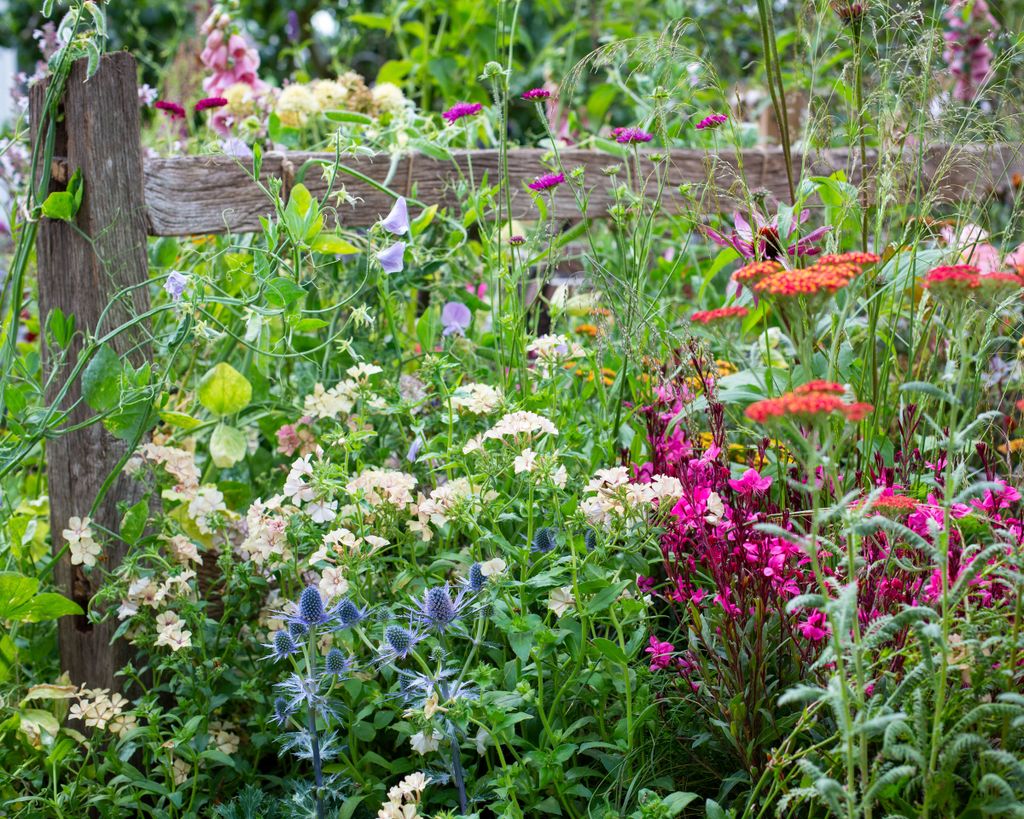 Wildlife garden ideas: turn a backyard into a natural haven | Homes and ...