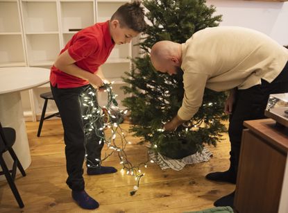 Why do we have Christmas trees? Plus, the origins behind other ...