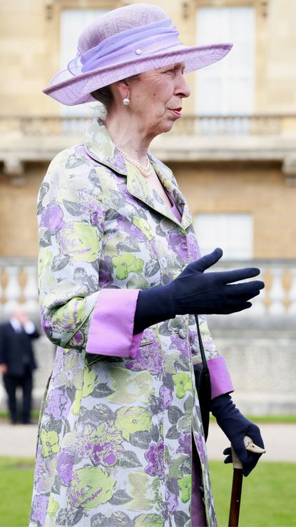 Princess Anne was ‘ahead of her time’ with her life-long love for ...