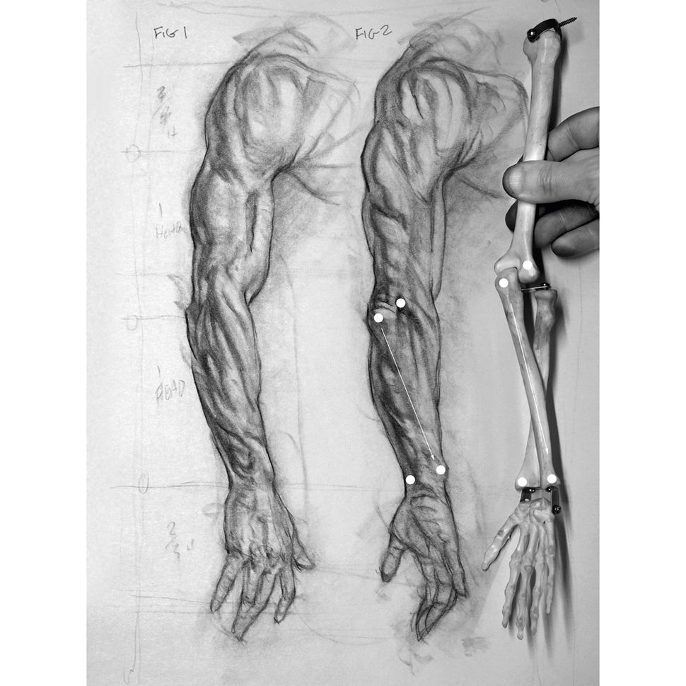 How to draw an arm | Creative Bloq