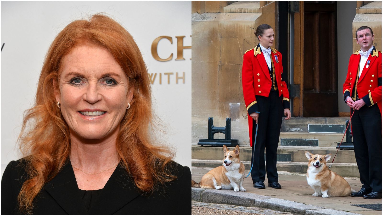 Sarah Ferguson gives update on the Queen's corgis | Woman & Home