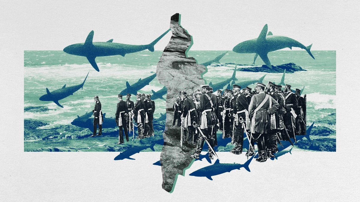 Namibia grapples with legacy of genocide on Shark Island | The Week