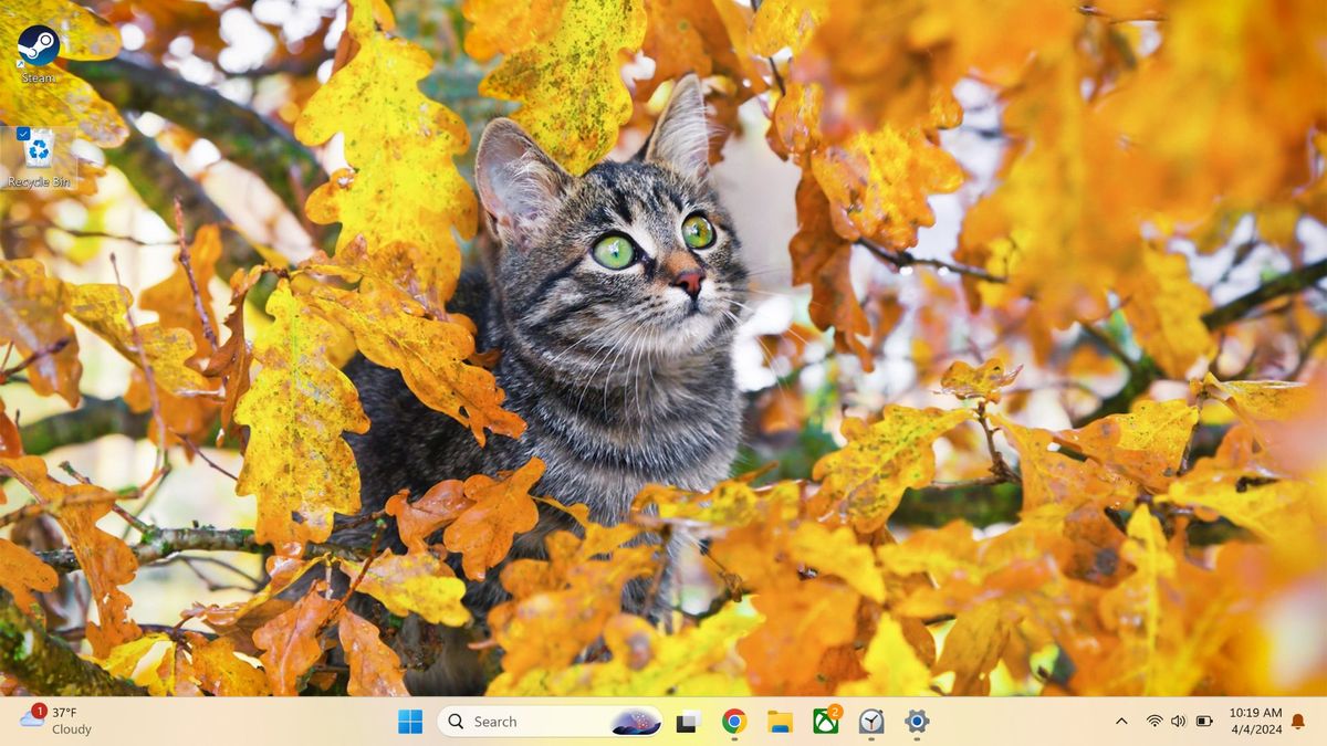 7 best Windows 11 themes: How to quickly transform your Windows desktop ...