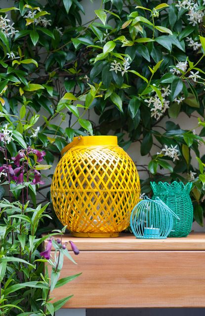 Kate Gould's small yard design tips for making a statement | Real Homes