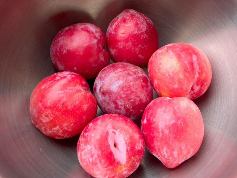 Hybrid Fruit Trees - How To Grow Pluots And Plumcots | Gardening Know How