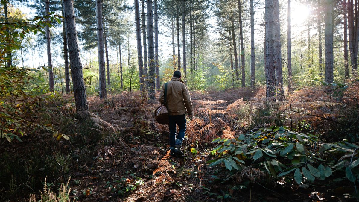 What color clothes should you wear hiking? | Advnture