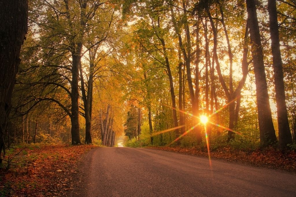 Hello fall! Equinox kicks off autumn on Sept. 22 | Live Science