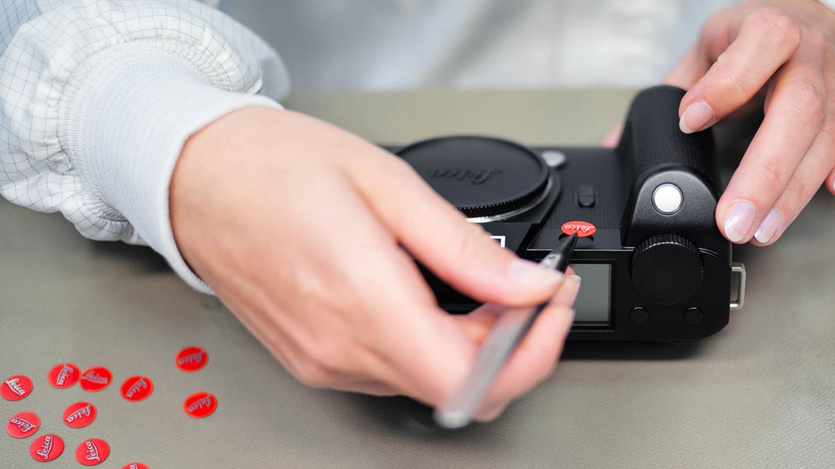 10 viral camera news stories of 2019 | Digital Camera World