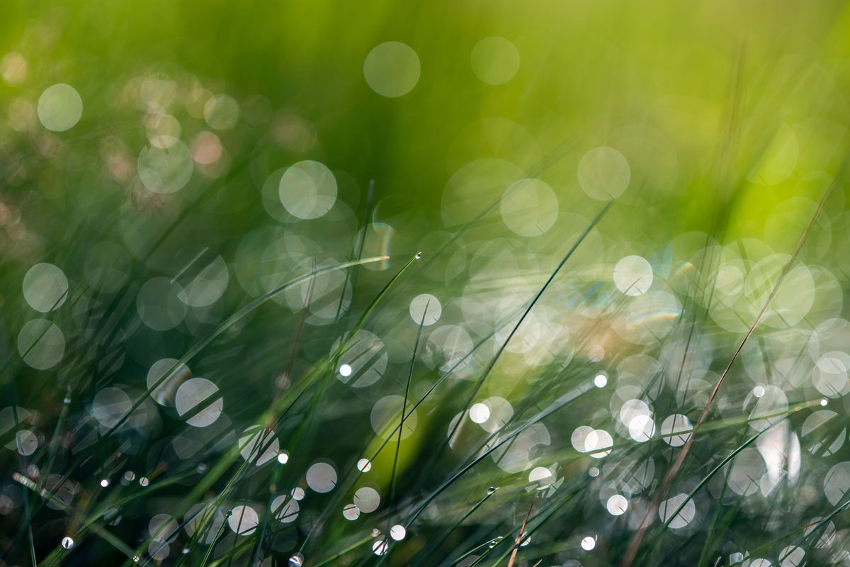 Nikon thinks its new lens is so good, it has even given it a special ...