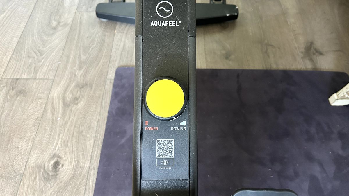 Technogym Skillrow Review | Coach