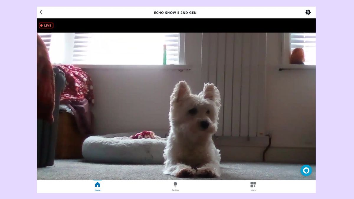 Your Echo Show can be used as a security camera — here’s how to set it ...