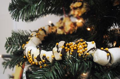 Edible Christmas decorations: a Christmas tree you can eat! | GoodtoKnow