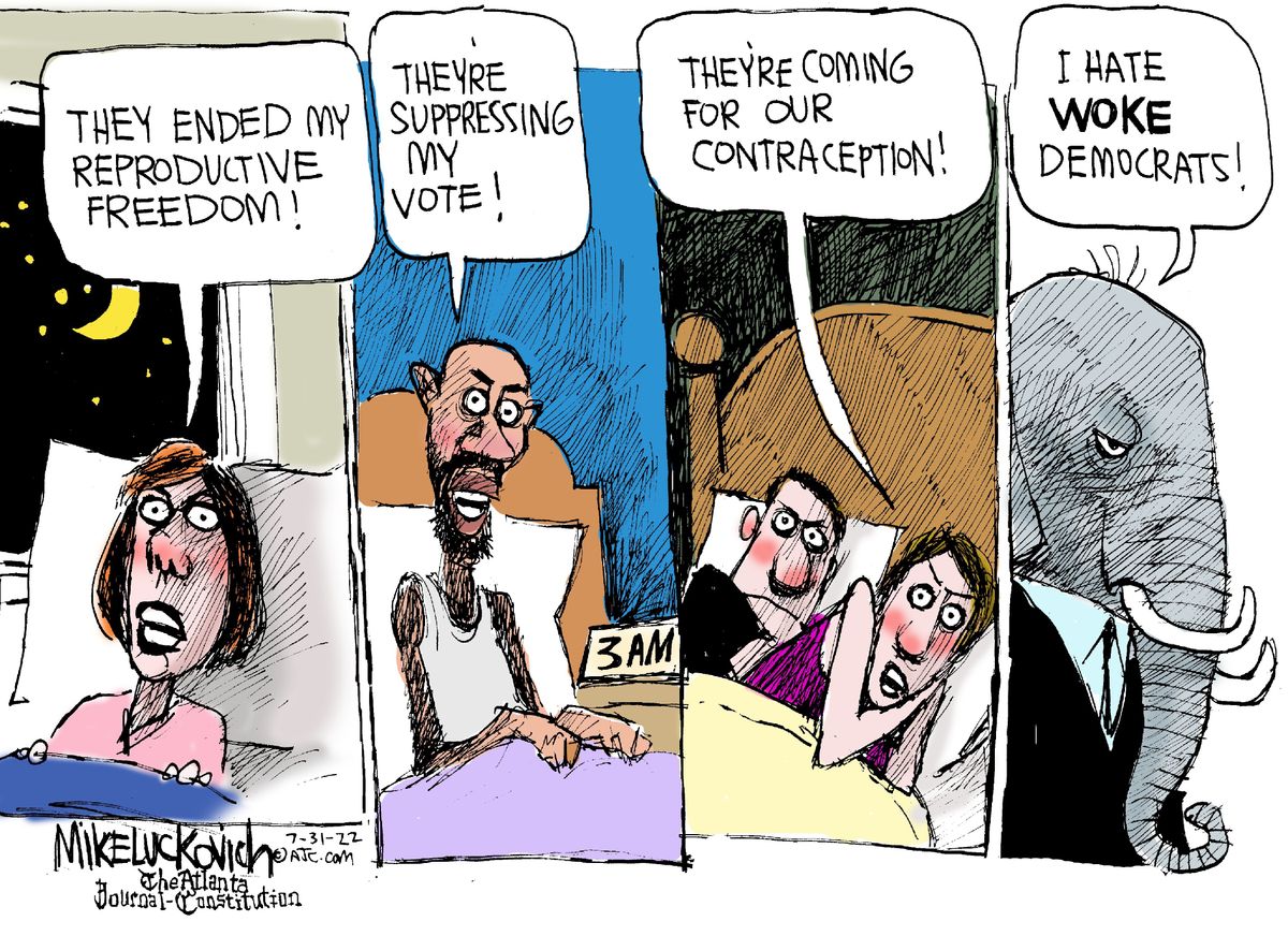 Woke democrats | The Week