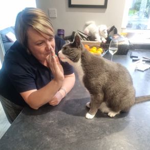 Do cats keep mice away? An expert reveals whether this is actually true ...