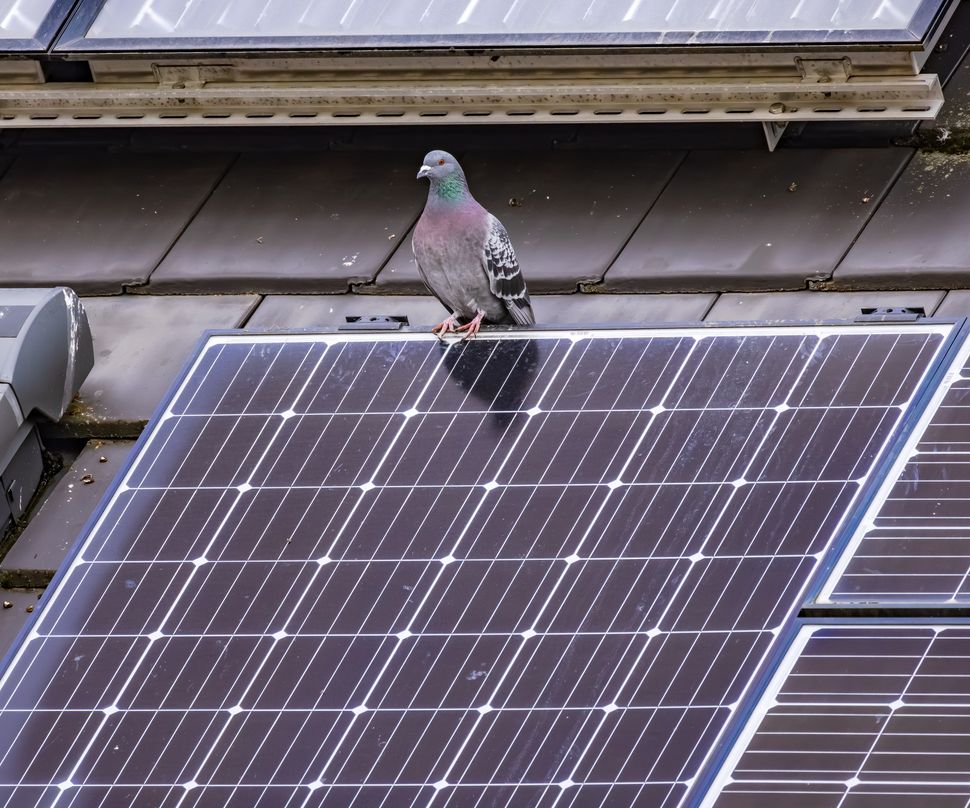 I'm a solar expert: These are the top 5 solar panel problems | Homebuilding