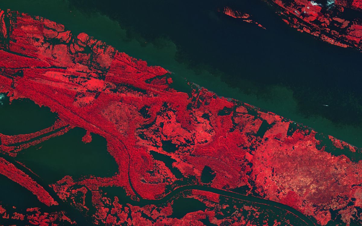 Heart of the Amazon Wallpaper | Space