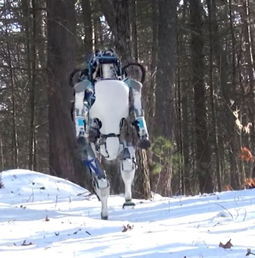 Innovation of the week: A human-like robot that can actually walk | The ...